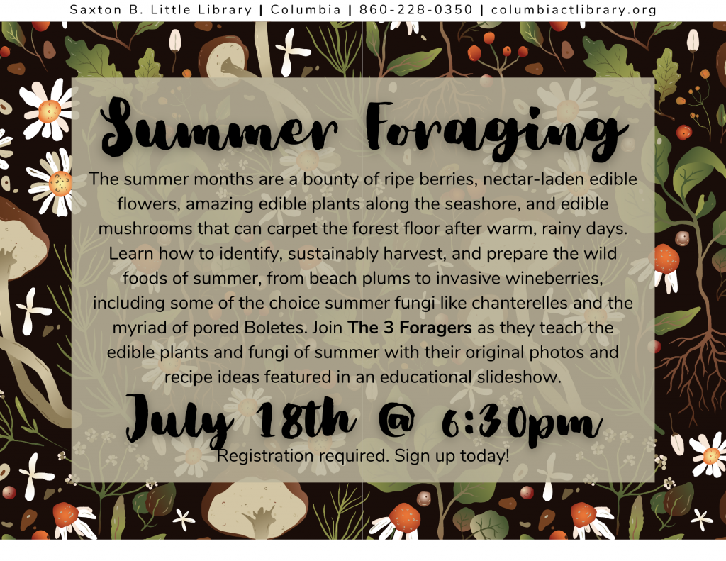 Saxton B. Little Free Library – Saxton B. Little Free Library in ...