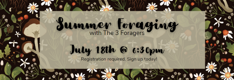 Saxton B. Little Free Library – Saxton B. Little Free Library in ...